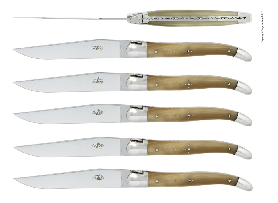Zes messen, Licht hoornen handvat, gepolijst, Tradition - Forge de ...